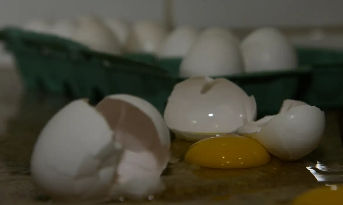 Preço aumenta e pente de ovos já custa R$ 49,99 em Minas Gerais ...